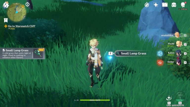 Genshin Impact: How To Find Calla Lily And Small Lamp Grass