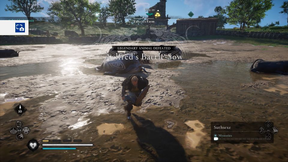 AC Valhalla: How To Find And Defeat Aelfred's Battle-Sow