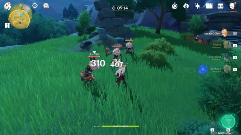 Genshin Impact: How To Find The Bounty (Location)