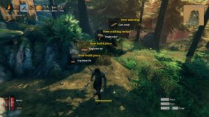 Valheim: How To Get Core Wood To Build More Structures