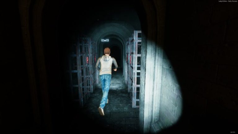 Labyrinthine: Chapter 4 Puzzle Walkthrough & Guide