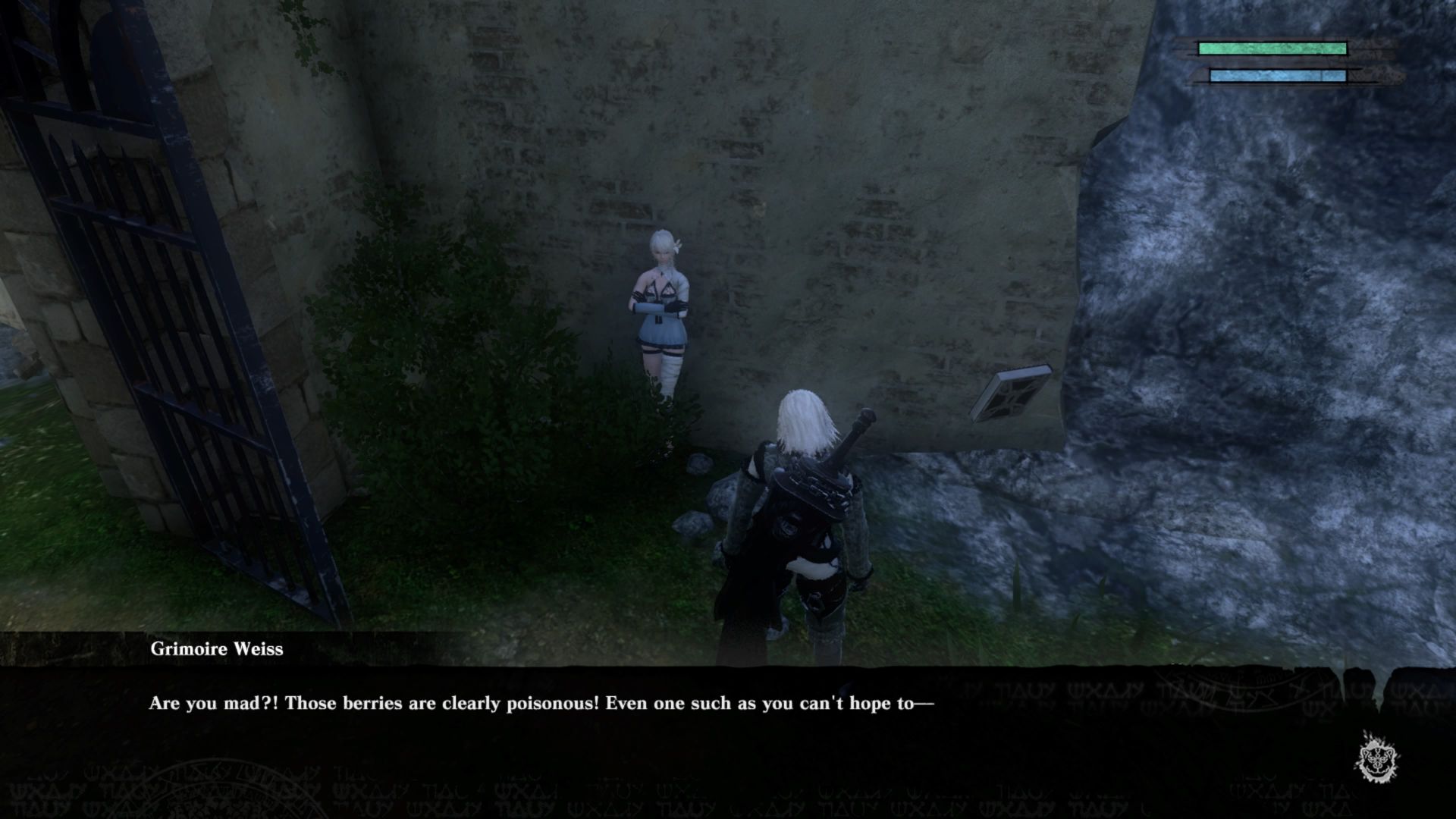 NieR Replicant 1.22: A Child's Final Chance Quest Walkthrough