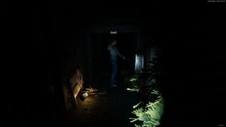 Labyrinthine: Chapter 1 Puzzles Walkthrough & Guide