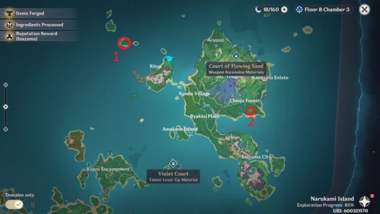 Genshin Impact: Shrine Of Depths Locations In Inazuma
