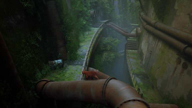 Stray: Inside The Wall Walkthrough And Guide