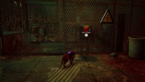 Stray: Rooftops Chapter (Walkthrough And Guide)