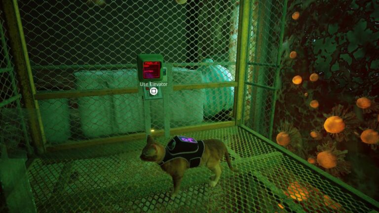 Stray: Rooftops Chapter (Walkthrough And Guide)