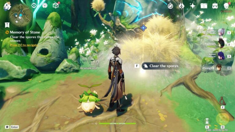 Genshin Impact: Memory Of Stone Quest Walkthrough