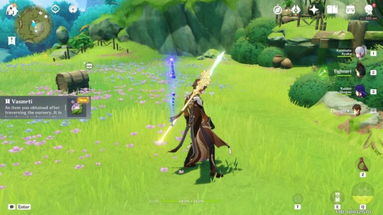 Genshin Impact: All Vasmrti Locations And Puzzle Guide