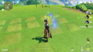 Genshin Impact: All Vasmrti Locations And Puzzle Guide