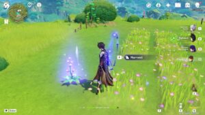 Genshin Impact: All Vasmrti Locations And Puzzle Guide