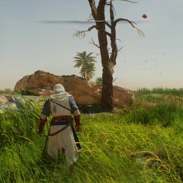 AC Mirage: The Serpent's Nest Walkthrough & Guide